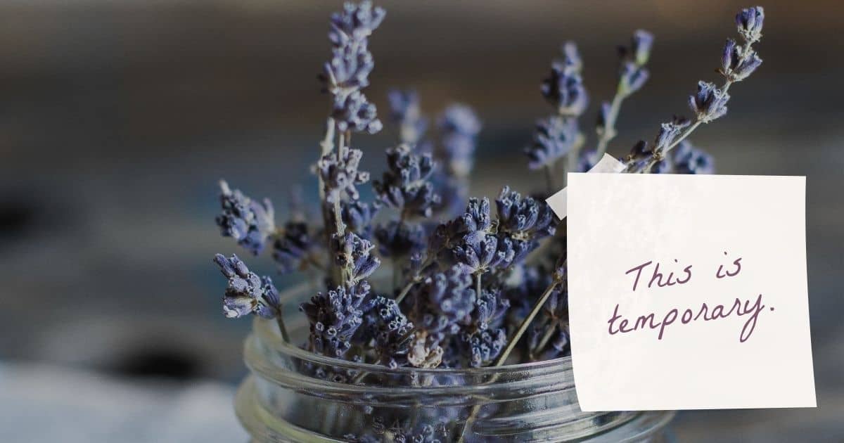 This is Temporary | Mobile Mama